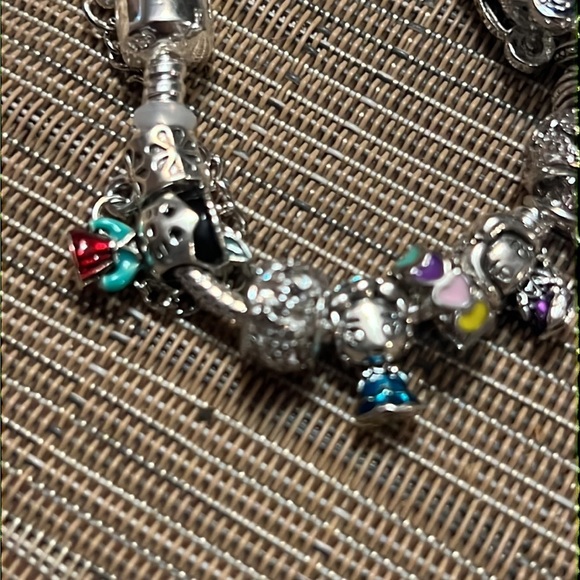 fierce_girl_956 | Accessories | Princess Charm Beacelet | Poshmark